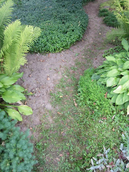 Fotos de Intrusion trodden ad plants, Imagens de Intrusion trodden ad ...