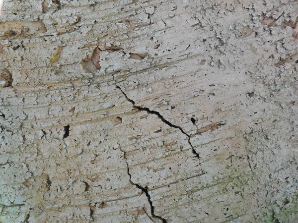 Tree subsidence Stock Photos, Royalty Free Tree subsidence Images ...