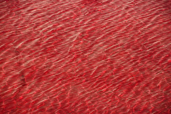 Red Water Texture Background — Stock Photo © logomimi #365883892