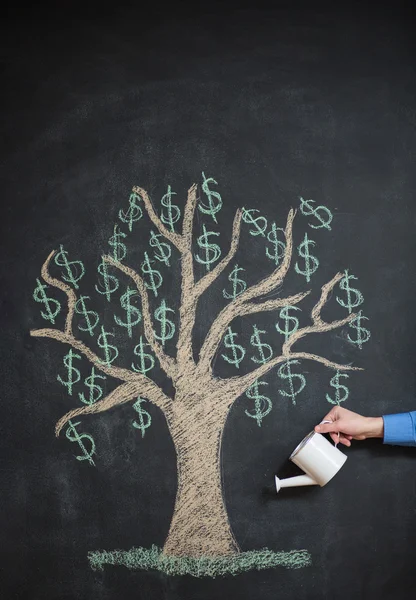 Money tree Stock Photos, Royalty Free Money tree Images | Depositphotos
