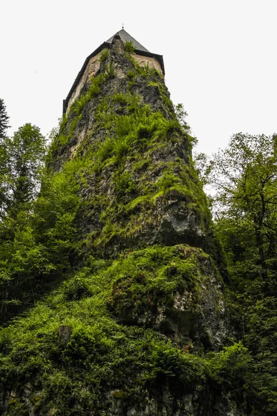 Tiger castle Stock Photos, Royalty Free Tiger castle Images | Depositphotos