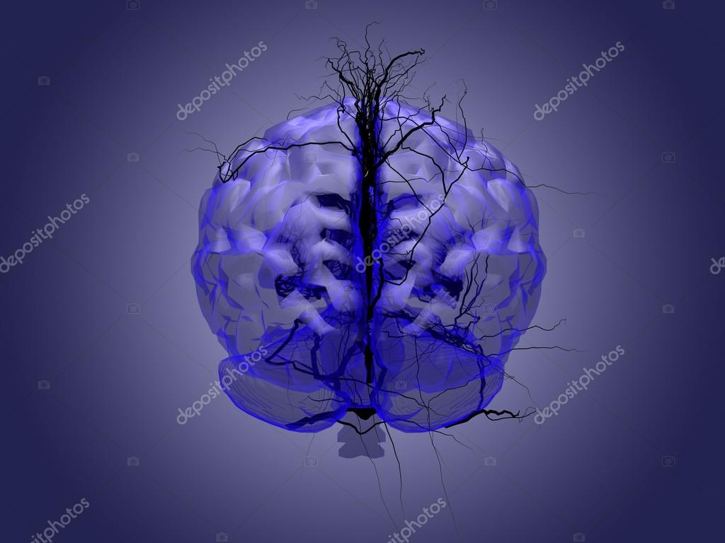 Brain root concept of a root growing in the shape of a human bra ...