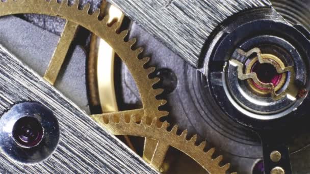 Close up Stock Videos, Royalty Free Close up Footages | Depositphotos®