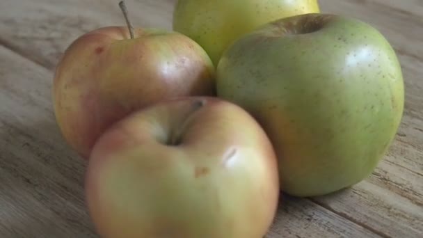 Apple fruit Stock Photo by ©Maks_Narodenko 11489545