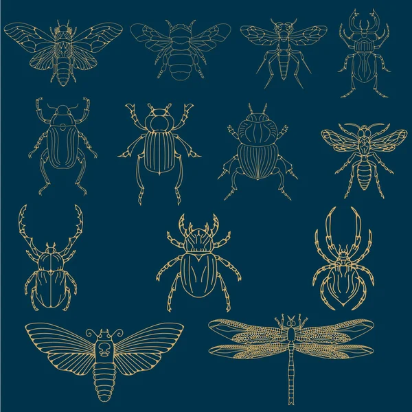 1,629 Insect typography Vector Images | Depositphotos