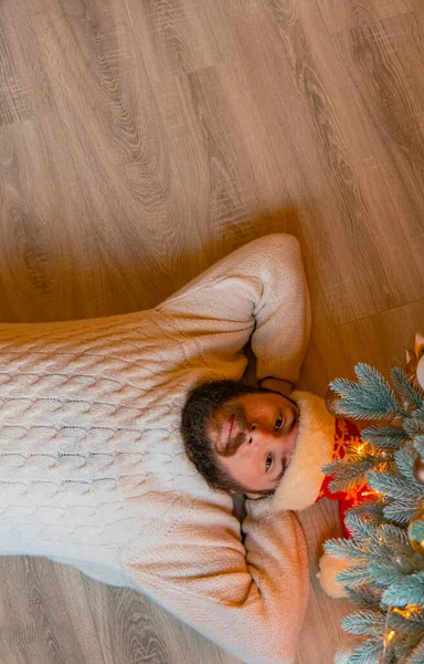 Gammons christmas Stock Photos, Royalty Free Gammons christmas Images ...