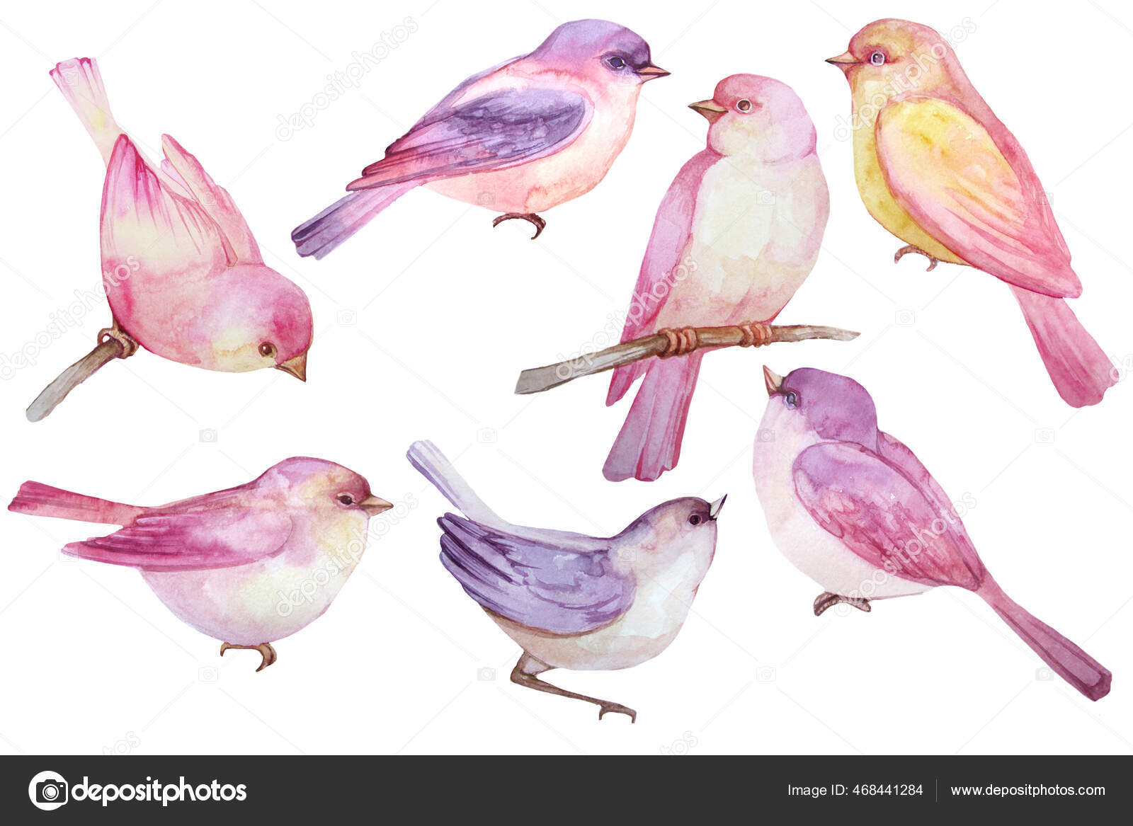 Watercolor Drawing Illustration Spring Birds Set Stock Illustration by ...