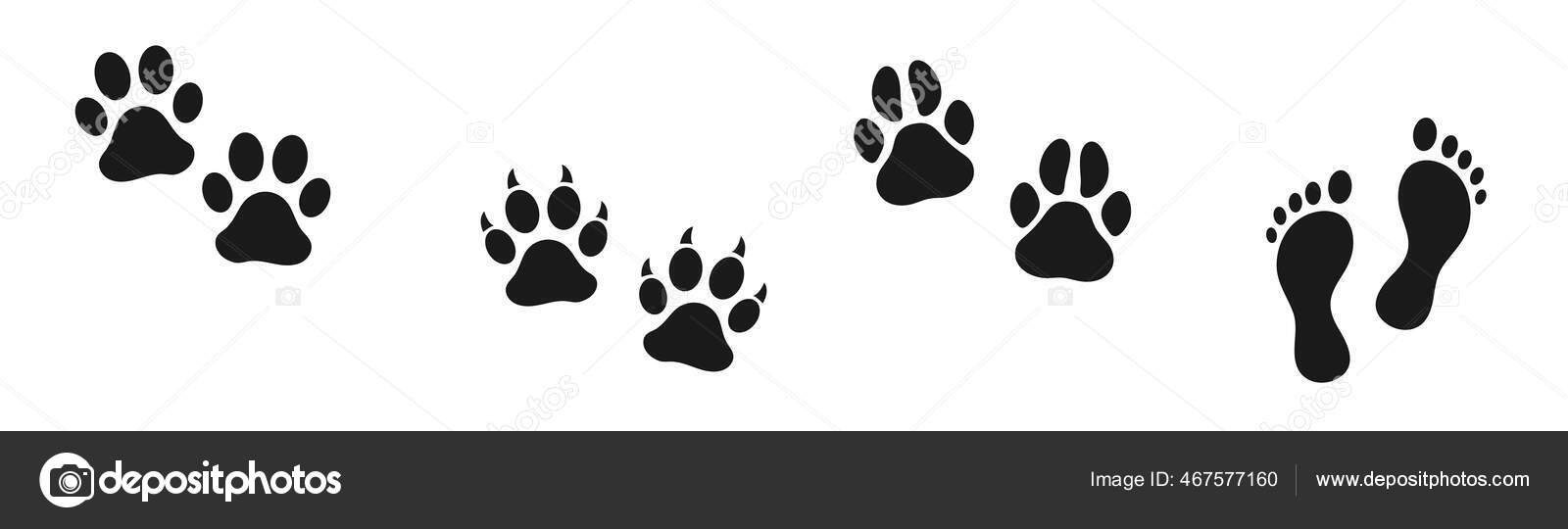 Set Human Animal Footprints Bare Human Feet Cat Dog Trace Stock Vector ...