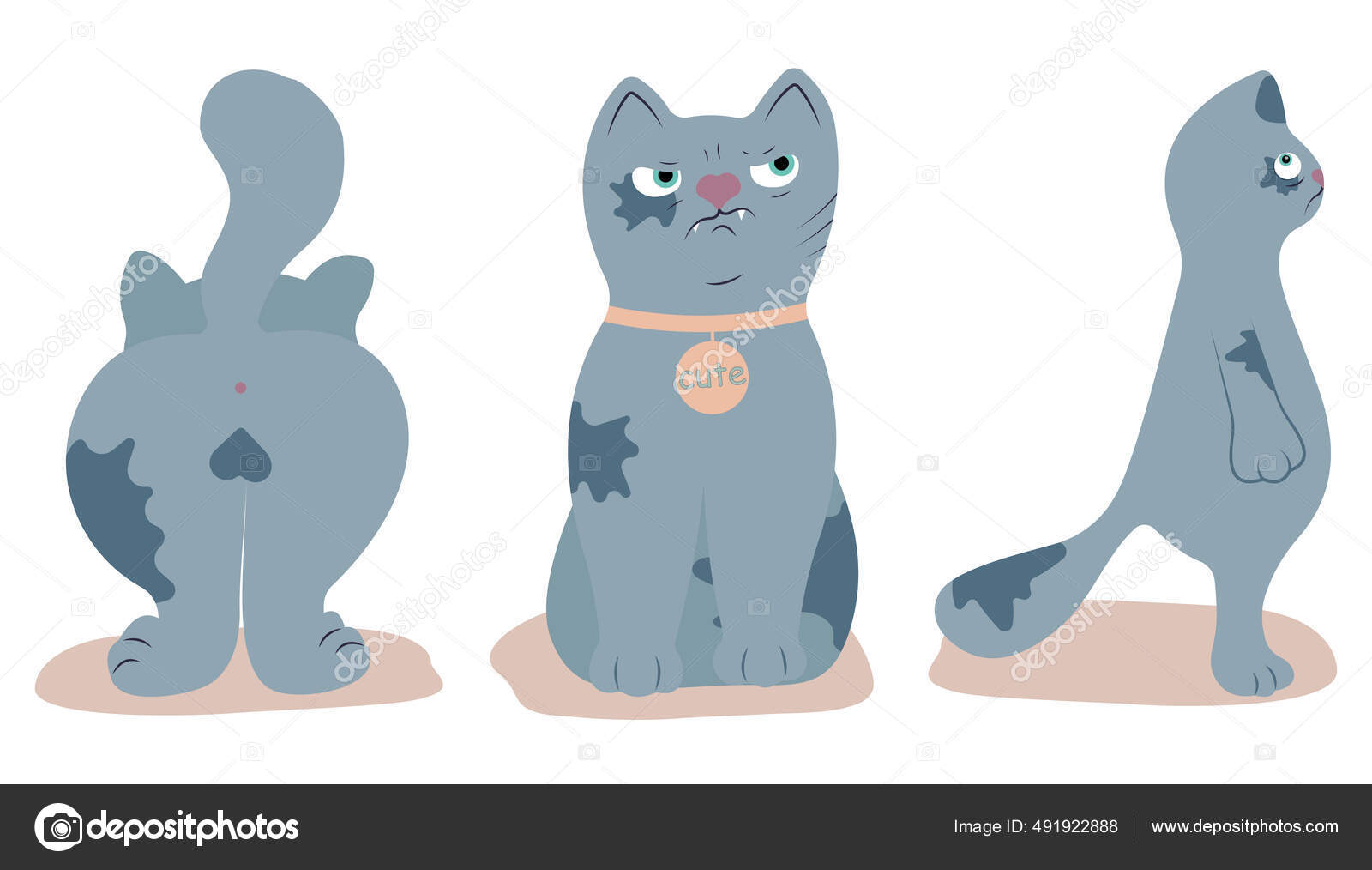 Cat Side View Front Back Angry Cat Animal Sarcasm Contempt ...