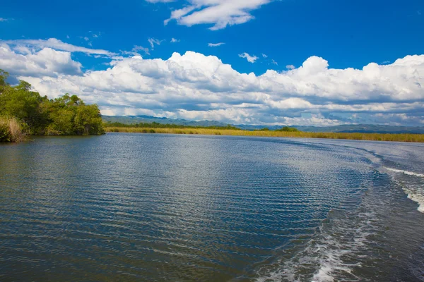 Jamaica black river Stock Photos, Royalty Free Jamaica black river ...