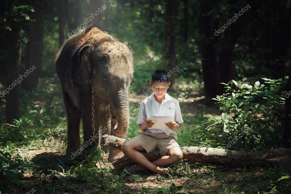 Libro de lectura de niños con elefante — Foto de stock #88352550 ...