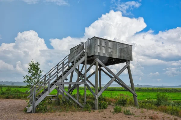 Birdwatching tower Stock Photos, Royalty Free Birdwatching tower Images ...