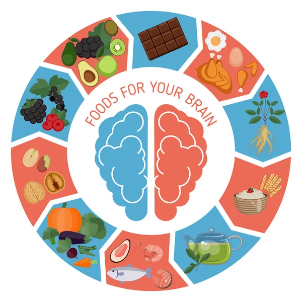 Brain and food Stock Vectors, Royalty Free Brain and food Illustrations ...