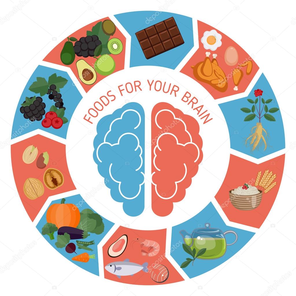 Brain Foods infographics Stock Vector Image by ©NinaMunha #100555414