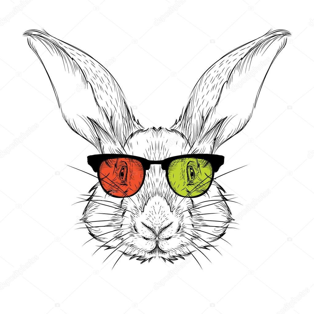 Portrait Of The Rabbit In The Colored Glasses Think Different Vector