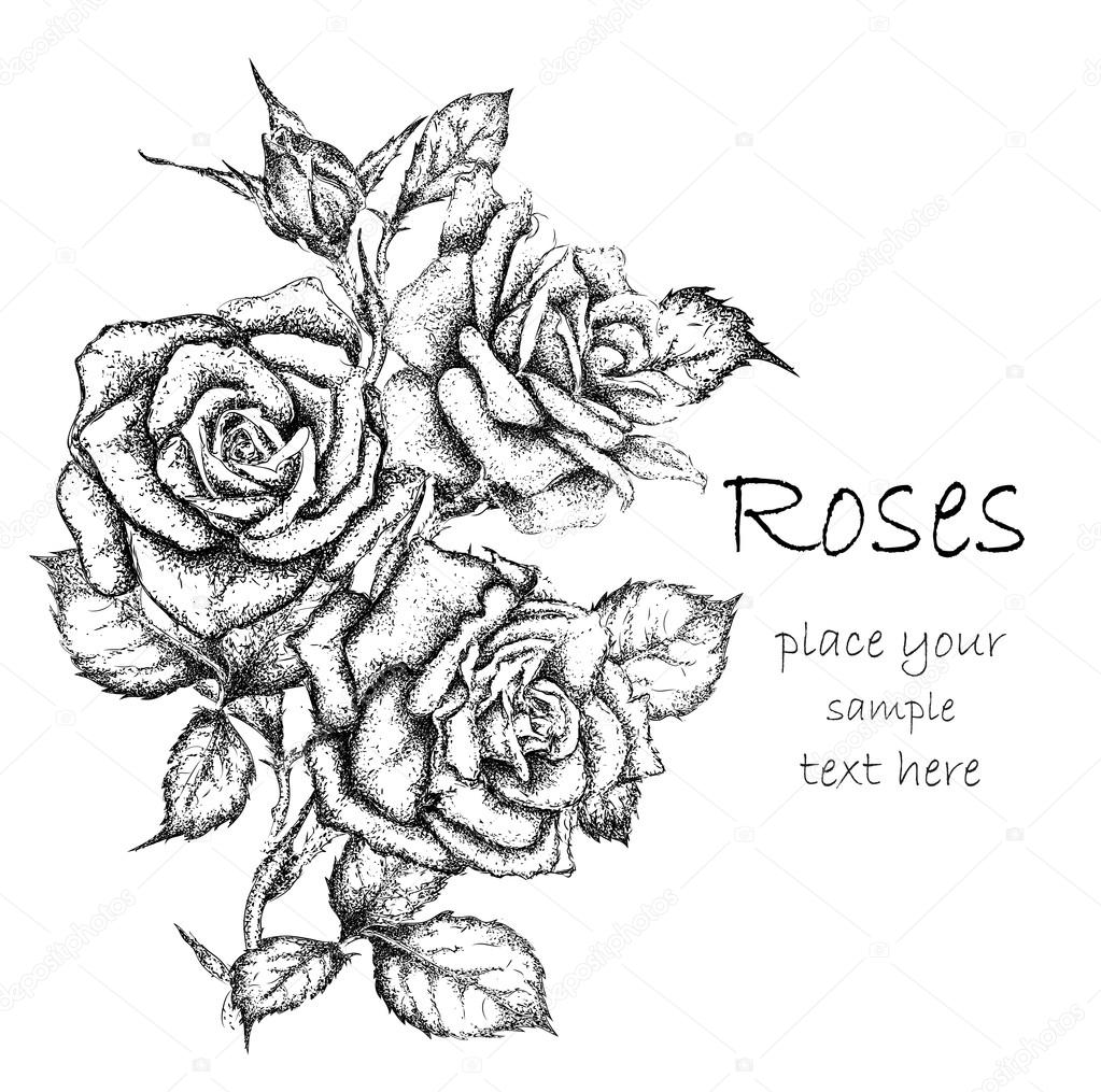 Hand draw vintage rose. Vector illustration Stock Vector by ©mountain ...