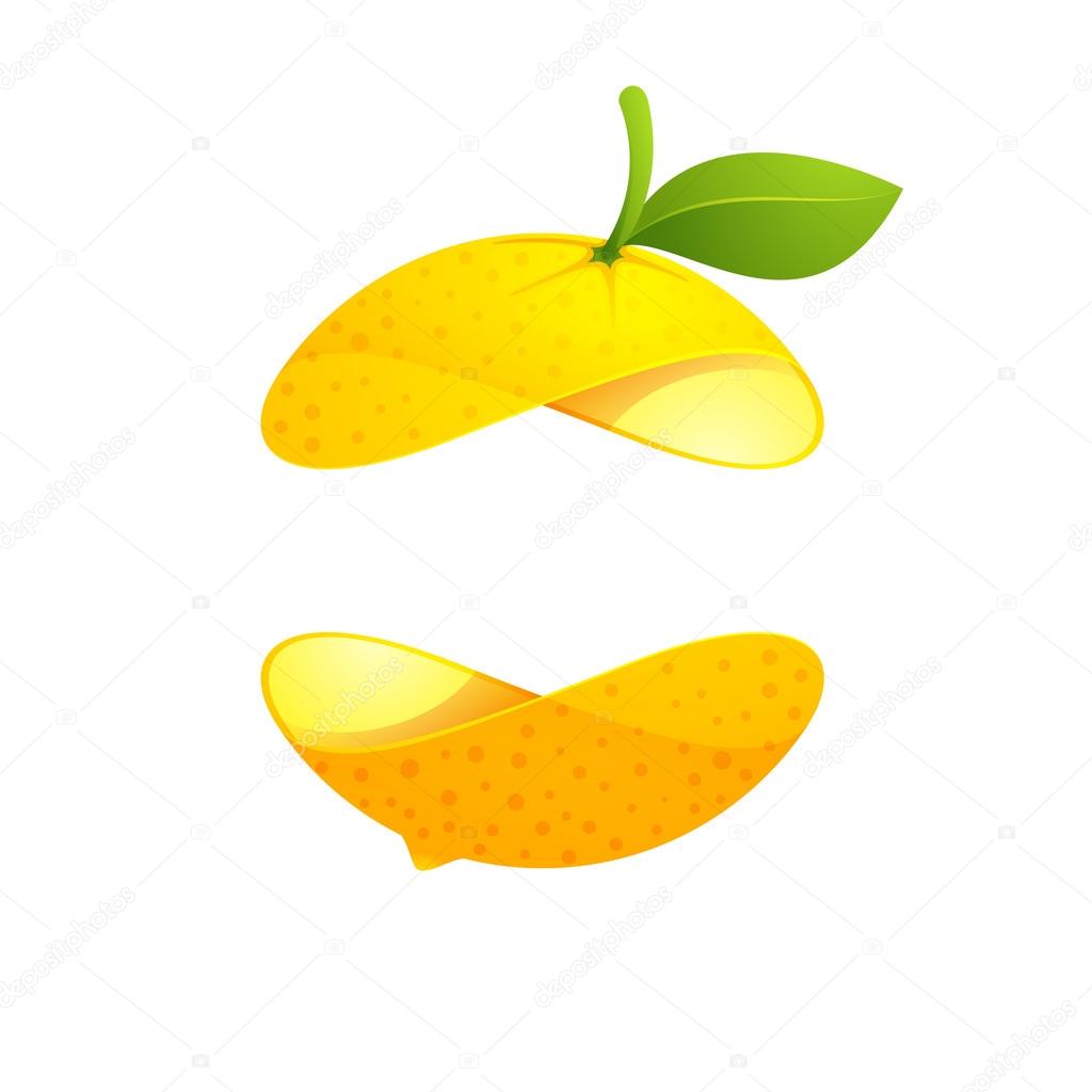 Lemon fruit sphere — Stock Vector © kaer_dstock #75675387