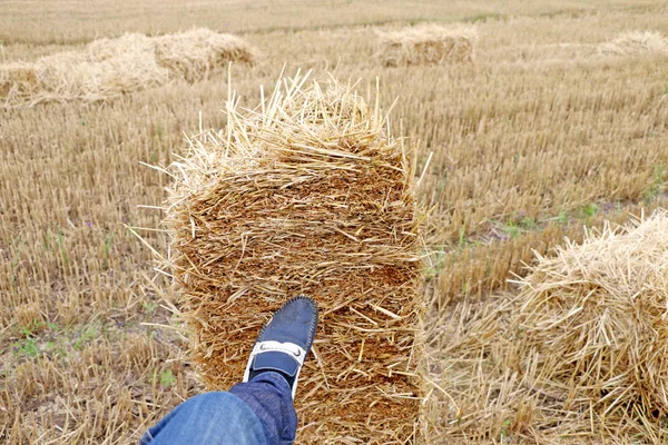 Men left foot pressed on straw bales. - Stock Image - Everypixel