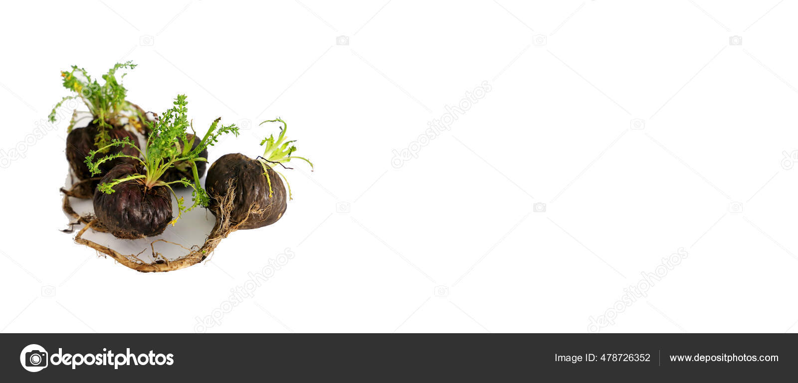 Fresh Peruvian Maca Peruvian Ginseng Lat Lepidium Meyenii Black Maca ...