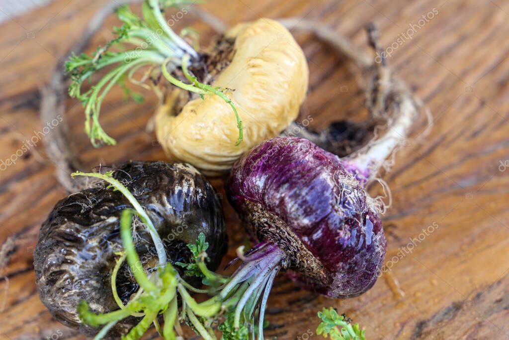 Tres tipos diferentes de Maca Peruana en una tabla de madera. 2024