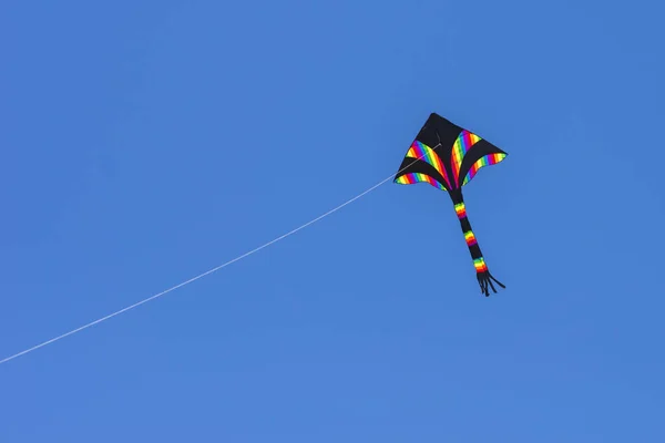 Flying kite Stock Photos, Royalty Free Flying kite Images | Depositphotos