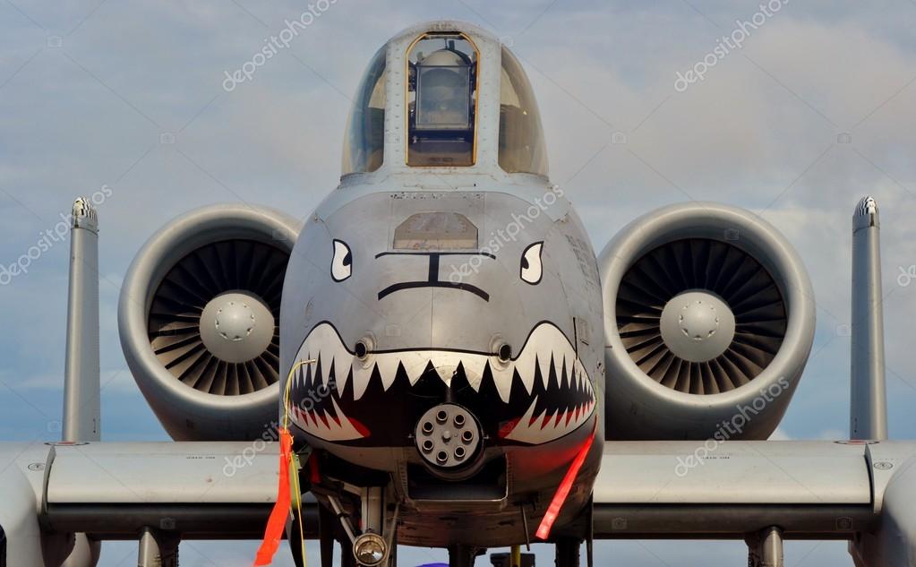 A-10 Warthog Thunderbolt II Airplane – Stock Editorial Photo ...