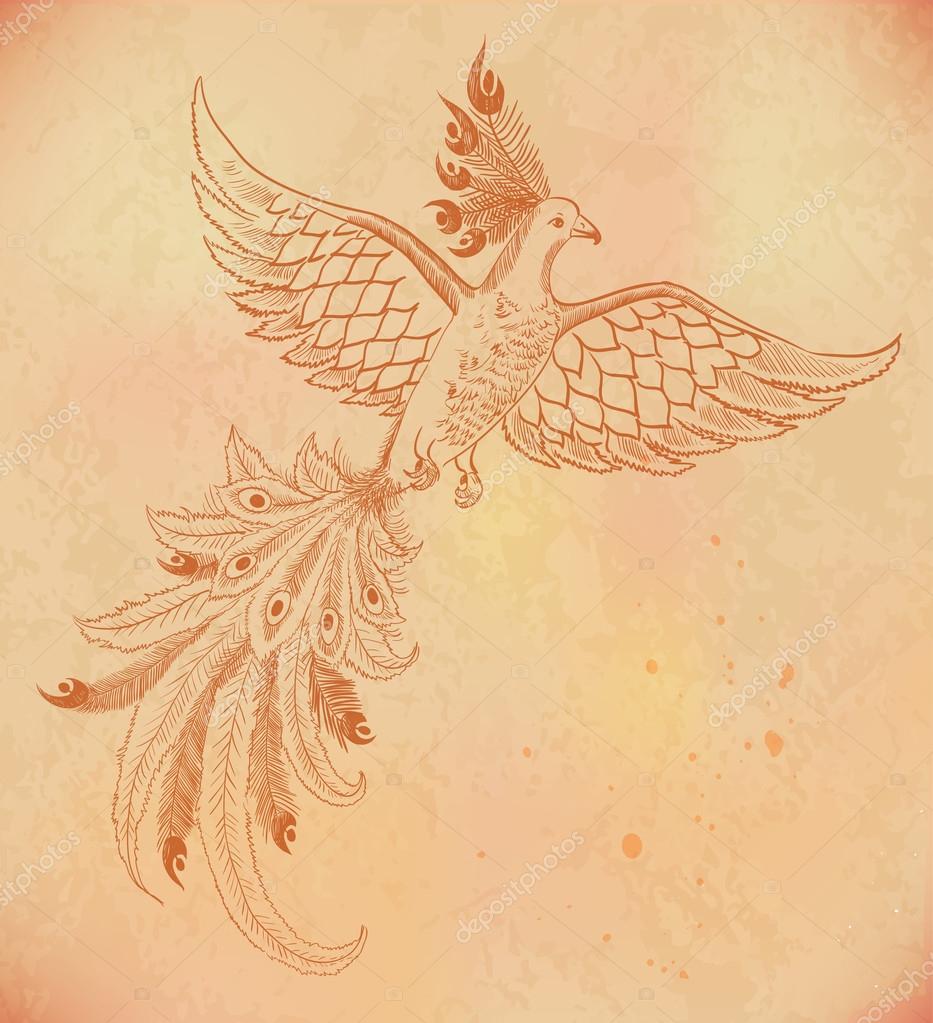 Firebird hand-drawn illustration on old paper, phoenix drawing — Stock ...