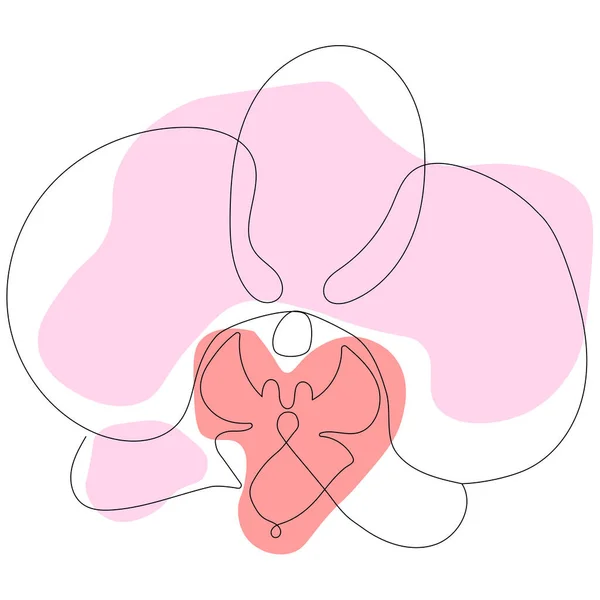 Tonsils tonsillitis Vector Art Stock Images | Depositphotos