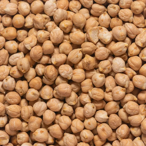 Garbanzo beans Stock Photos, Royalty Free Garbanzo beans Images ...