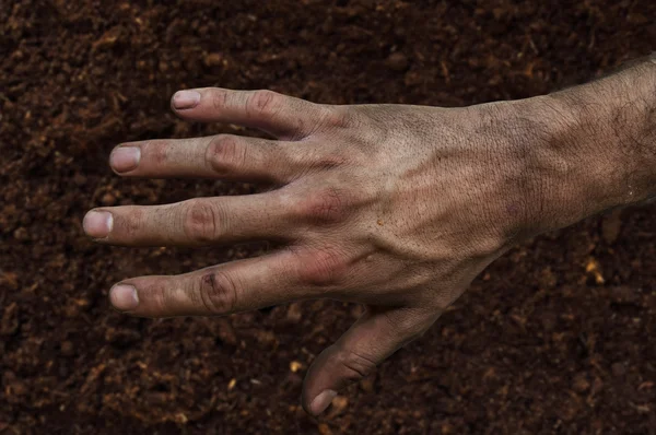 Organic soil hand Stock Photos, Royalty Free Organic soil hand Images ...