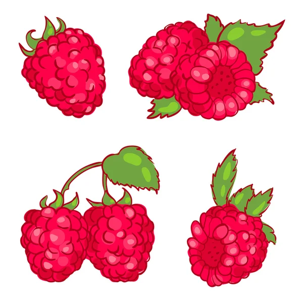 100,000 Malina kolorowanka Vector Images | Depositphotos