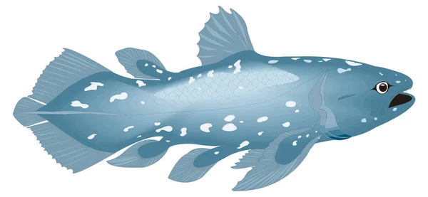 19 The coelacanth Vector Images, The coelacanth Illustrations ...