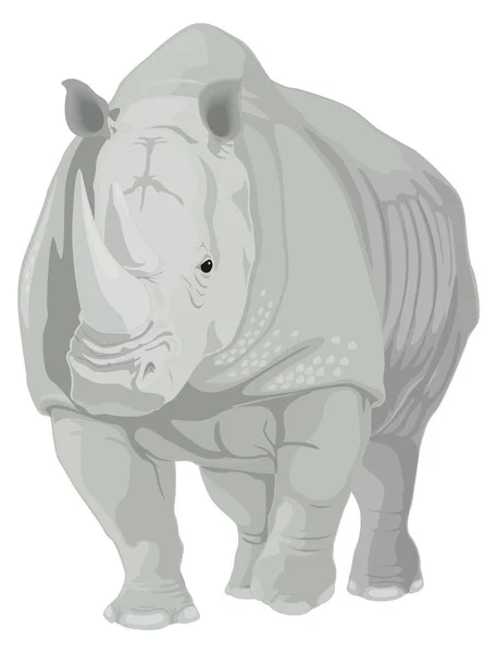 9,798,572 White rhino face Vector Images | Depositphotos