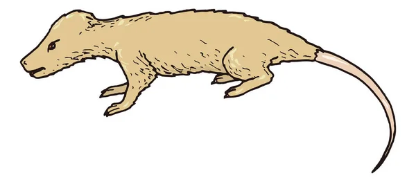 Dak rat Stock Photos, Royalty Free Dak rat Images | Depositphotos