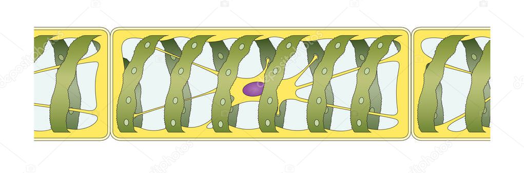 Algae tubes Stock Photos, Royalty Free Algae tubes Images | Depositphotos