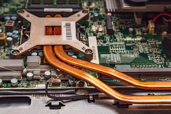 Snail creeps on the chipset on the computer motherboard — Stock Photo ...