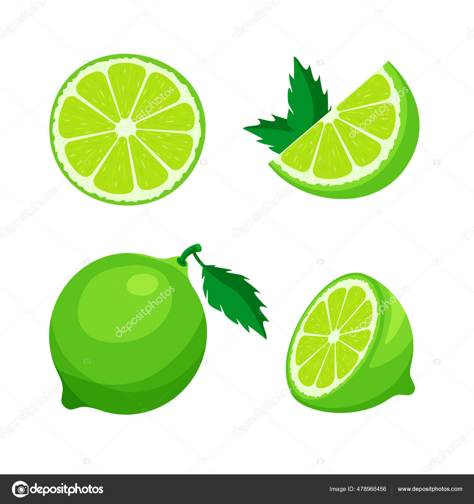 Set Fresh Whole Half Cut Slice Lime Isolated White Background Stock Vector Image by ©Konakhovska ...
