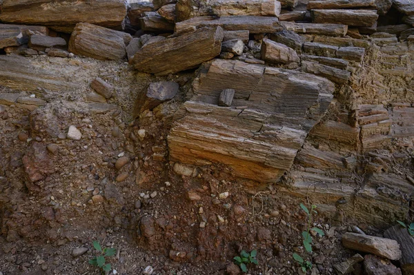 Geologic column Stock Photos, Royalty Free Geologic column Images ...