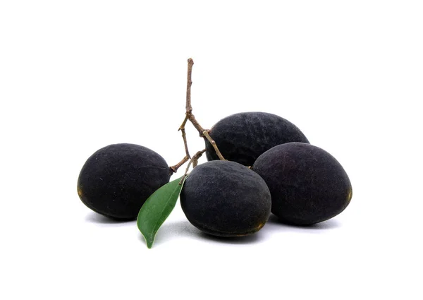 Black Velvet Tamarind Dialium Cochinchinense Isolated White Background ...