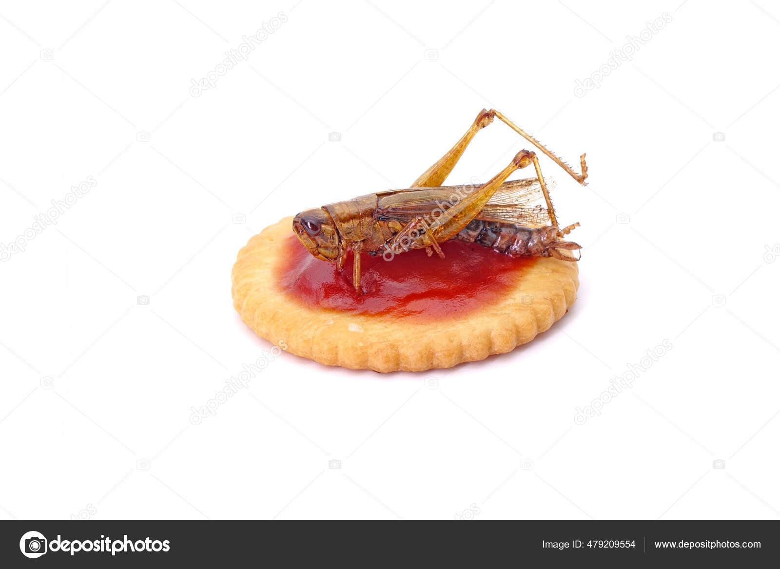 Biscuits Topping Crispy Eatable Insects Grasshopper Ideas Celebrate ...