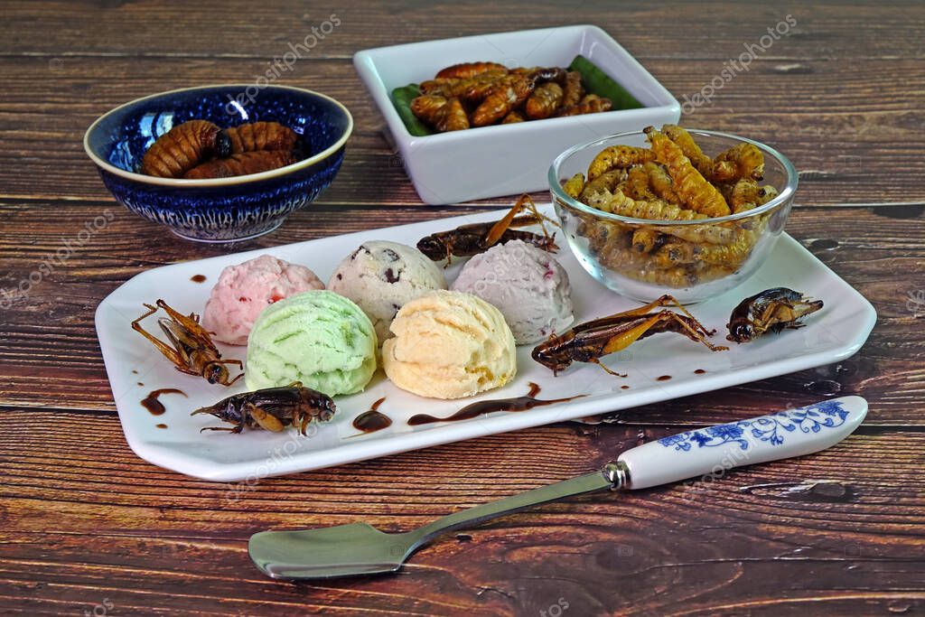 Helado con mezcla de insectos crujientes comestibles. Ideas para comida ...
