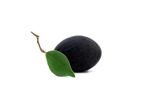 Black Velvet Tamarind Dialium Cochinchinense Isolated White Background ...