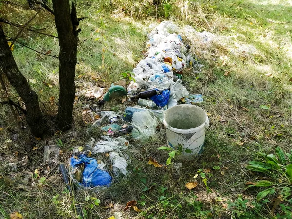 Waste in nature Stock Photos, Royalty Free Waste in nature Images ...