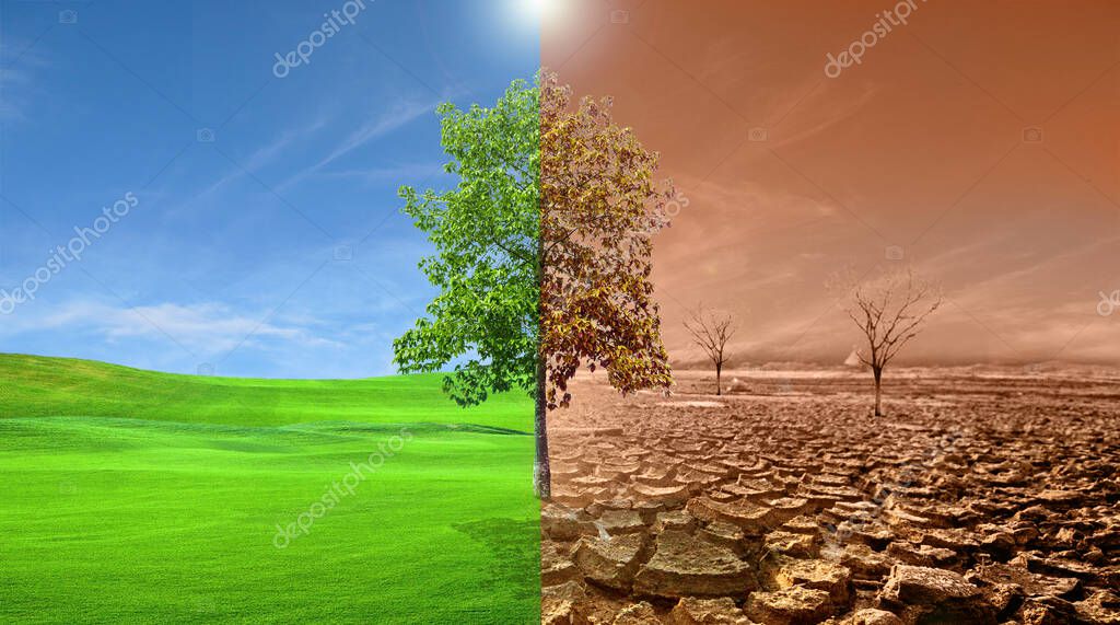 una imagen dividida a la mitad con un árbol, en una mitad árbol de ...