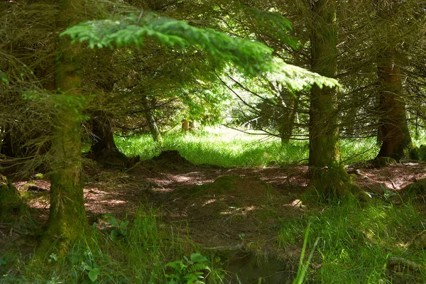 Welsh landscape park Stock Photos, Royalty Free Welsh landscape park ...