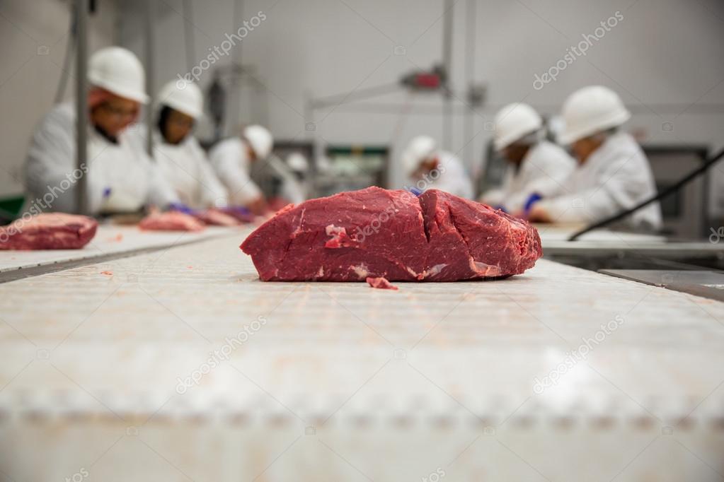 Meat handling safety procedure with workers in white suits helmets and ...