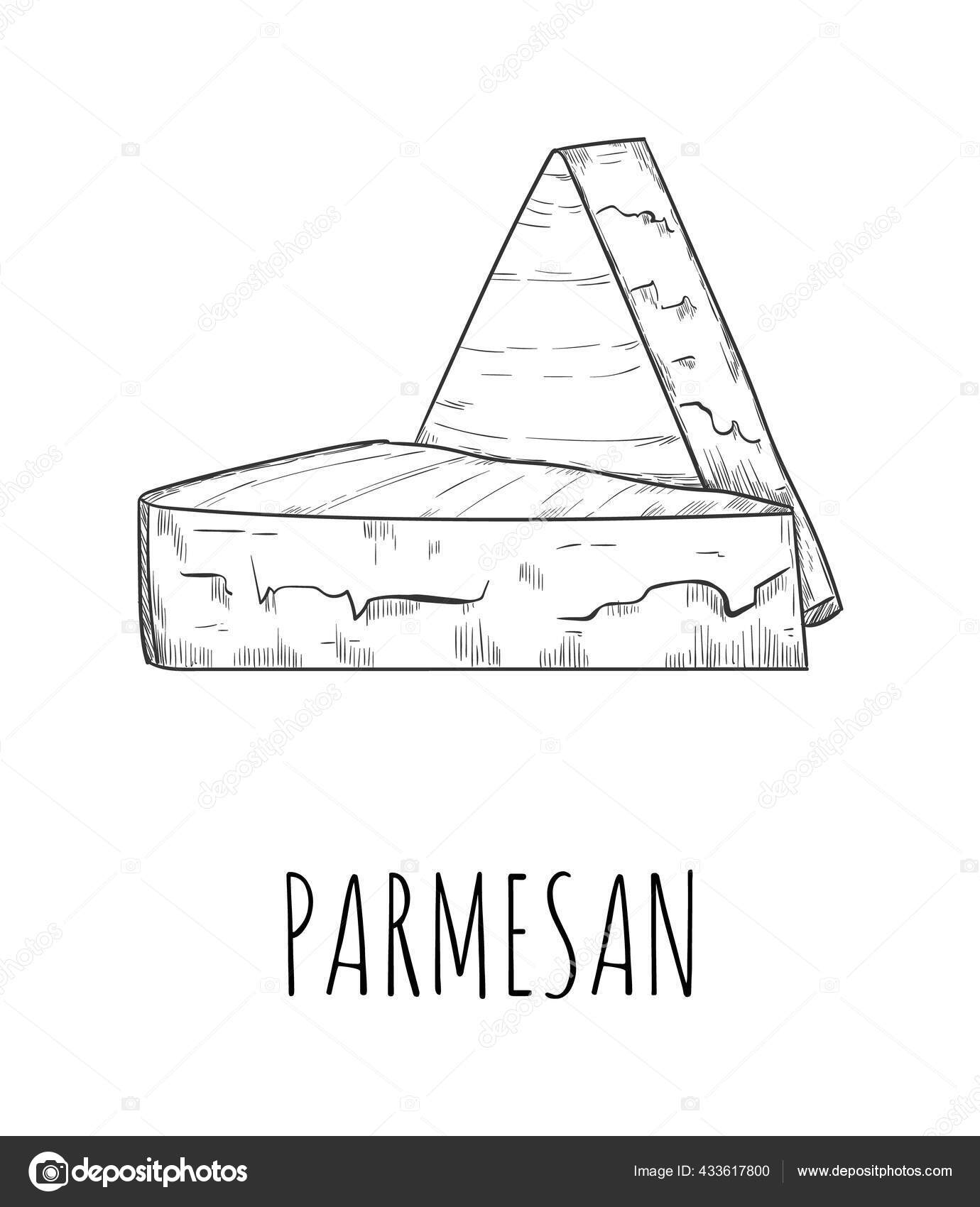 Parmesan cheese dairy product pieces sketch Stock Vector Image by ...
