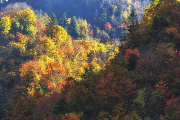 China Sichuan xindu bridge, Inagi Aden, scenic autumn beauty - Stock ...