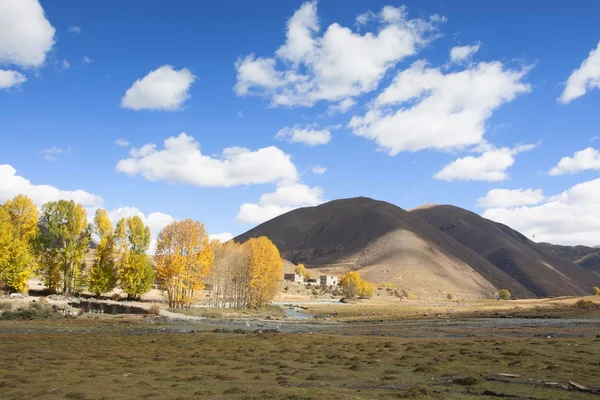 Tandor Stock Photos, Royalty Free Tandor Images | Depositphotos