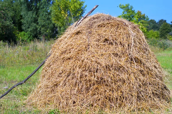 Hay stacks Stock Photos, Royalty Free Hay stacks Images | Depositphotos